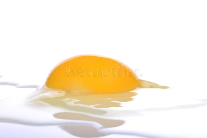 Eidotter Stock-Fotos - Laden Sie 1,244 Royalty-Free Fotos herunter