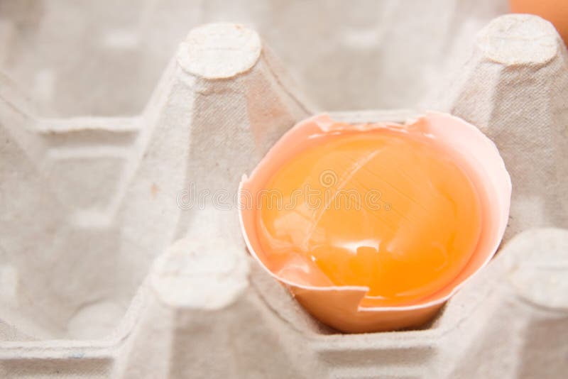 Eidotter stockbild. Bild von bewirtschaften, huhn, nahaufnahme - 14962091