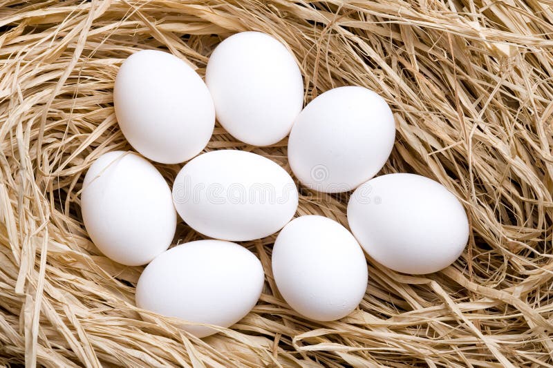 Vier weiße Eier stockfoto. Bild von vollständig, getrennt - 5424018