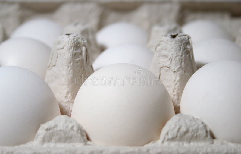 Eier Bild. Bild: 432809