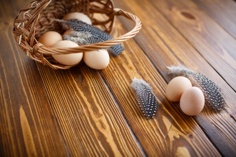 Taubenei in Der Hand Auf Weißem Hintergrund Stockfoto - Bild von ...