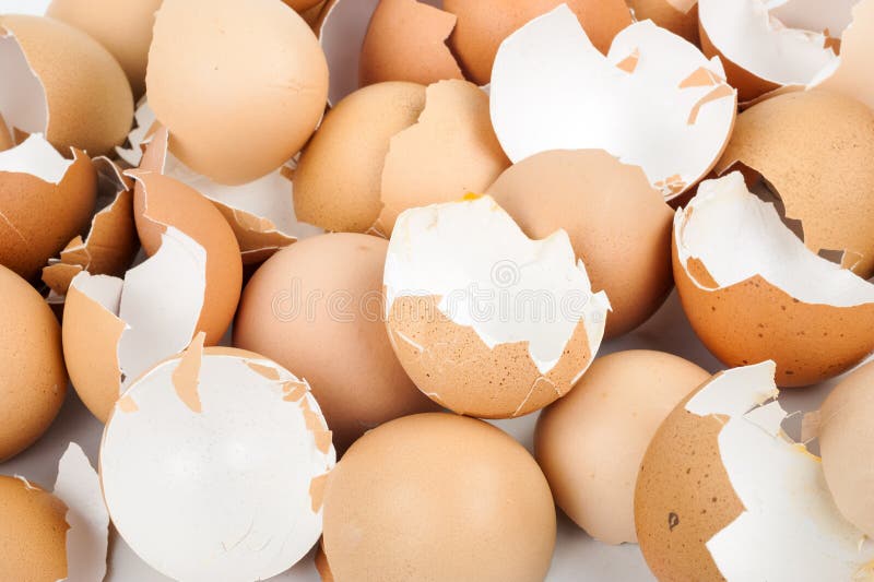 Eierschale stockbild. Bild von geöffnet, shell, zerbrechlich - 7889615