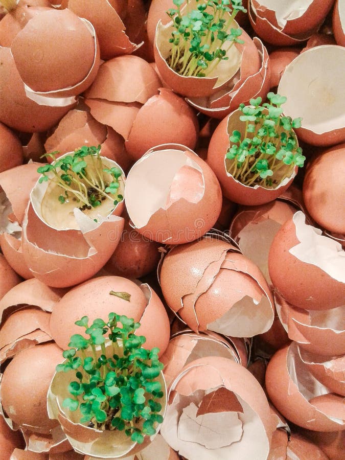 Eierschale-Stapel stockfoto. Bild von nachricht, gebrochen - 2089334