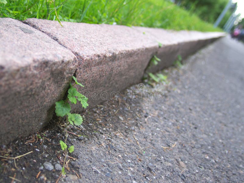 Eifer Zum Leben (auf Der Straße) Stockfoto - Bild von bordstein ...