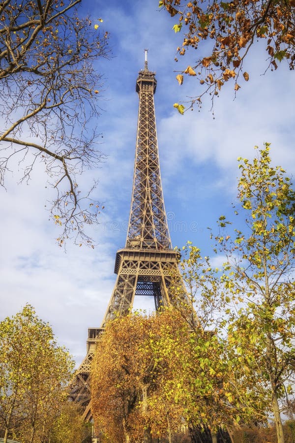 Eiffel Tower Autumn Leaves. Stock Image - Image of paris, tree: 62488339