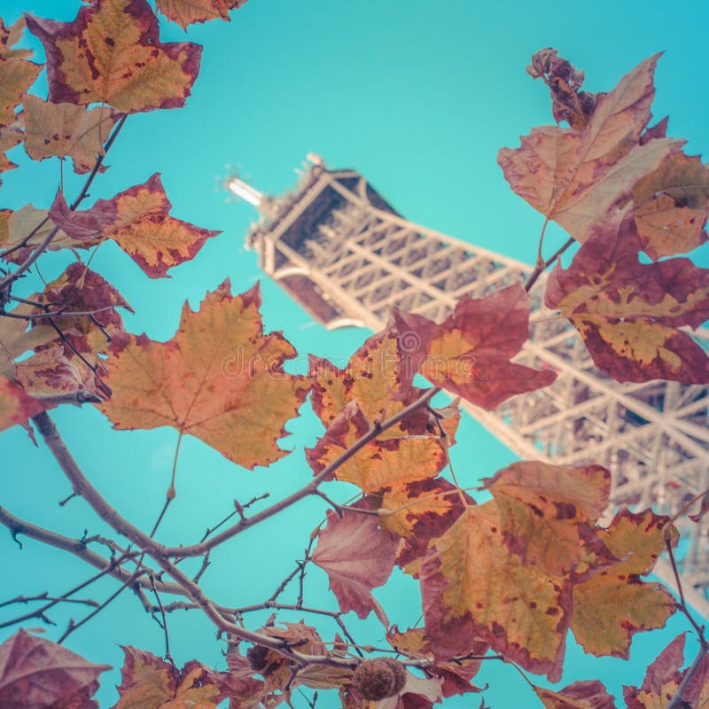 Eiffel Tower in the Fall stock photo. Image of eiffel - 67921736