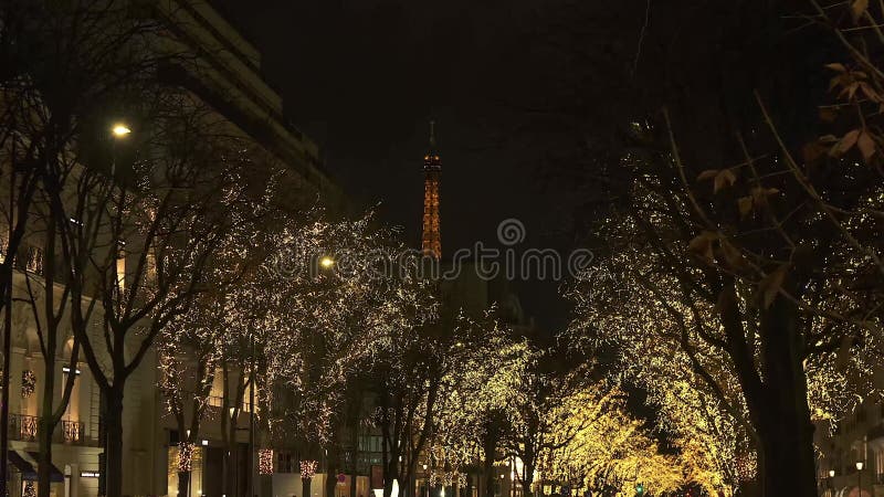 Eiffel Tower and Illuminated Trees on Magical Paris Night Stock Video ...