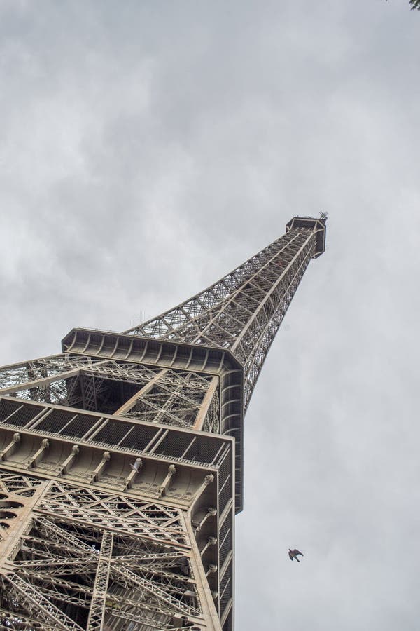 395 Eiffel Tower Side View Stock Photos - Free & Royalty-Free Stock ...