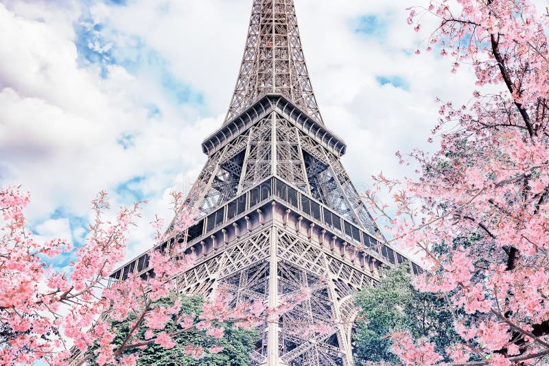 Eiffel Tower in Paris City stock photo. Image of parisian - 221829734