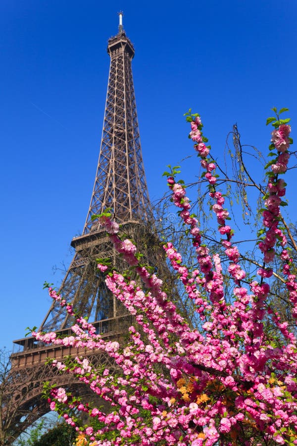 Eiffel Tower in Spring, Paris, France Stock Image - Image of famous ...