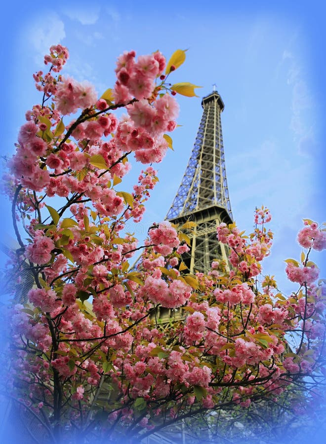 Eiffel Tower in Paris, France Stock Photo - Image of cityscape ...