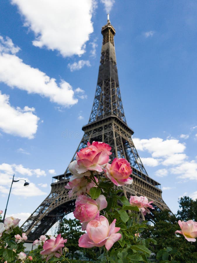 Eiffel tower with rose stock image. Image of memorial - 202916521
