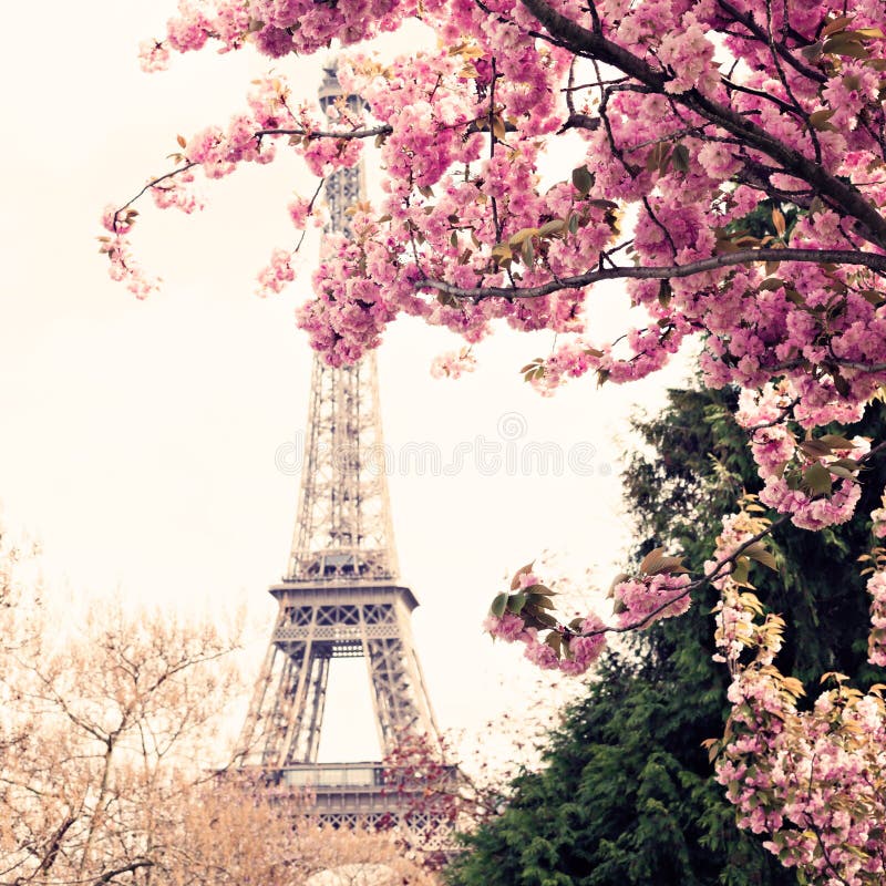 Eiffel Tower in Spring stock photo. Image of city, life - 102434040