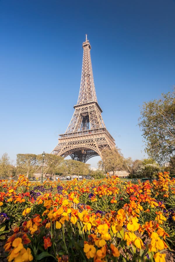 Eiffel Tower with Spring Flowers in Paris, France Stock Image - Image ...