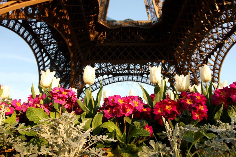 Eiffel Tower in Spring, Paris, France Stock Image - Image of france ... Eiffel Tower in Spring, Paris, France Stock Image - Image of france ...