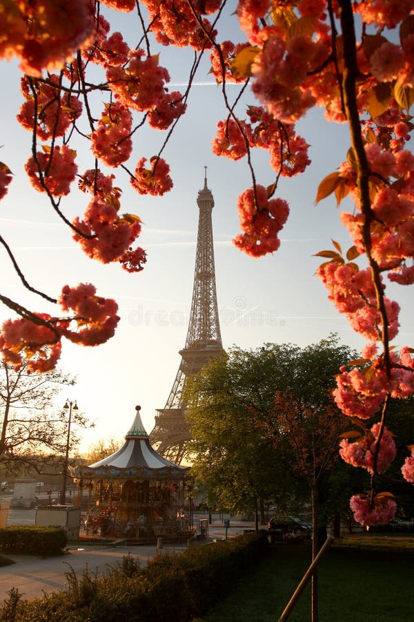 Eiffel Tower In Spring, Paris, France Stock Image - Image of leaf ...