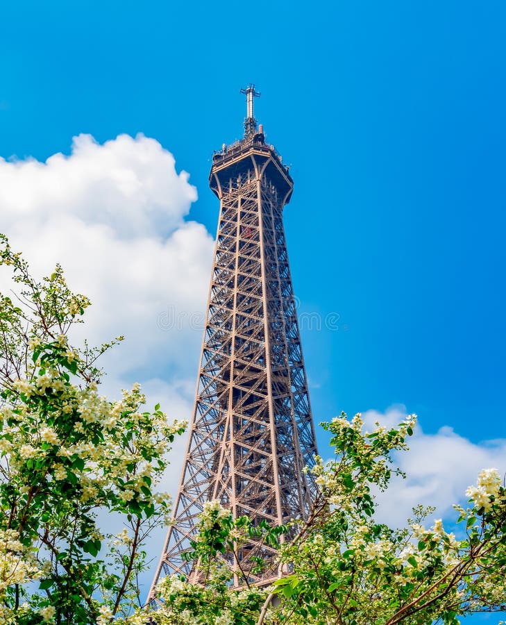 Eiffel Tower in Spring, Paris, France Stock Image - Image of french ...