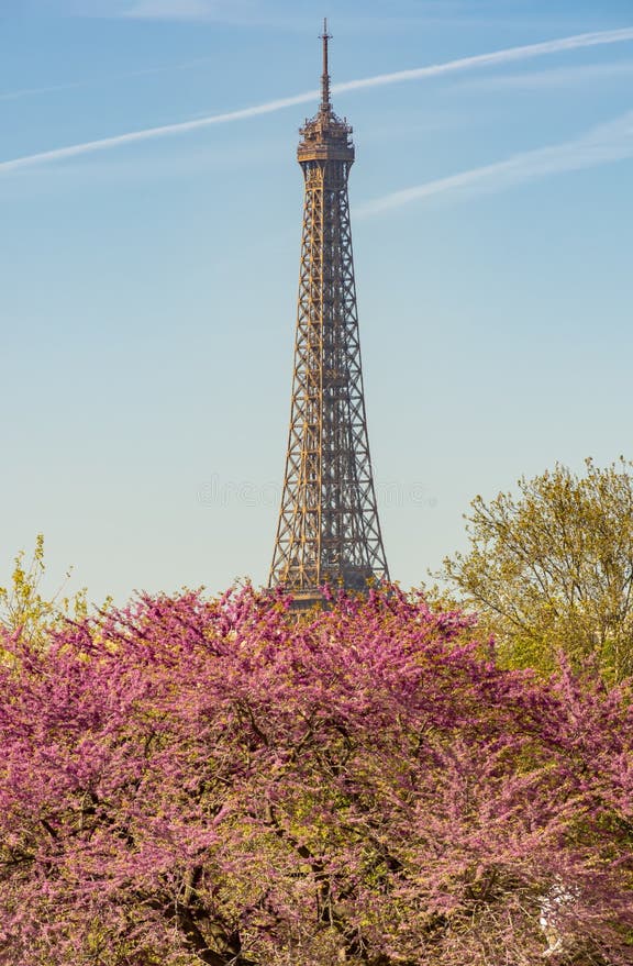 Eiffel Tower in Spring, Paris, France Stock Image - Image of tourism ...