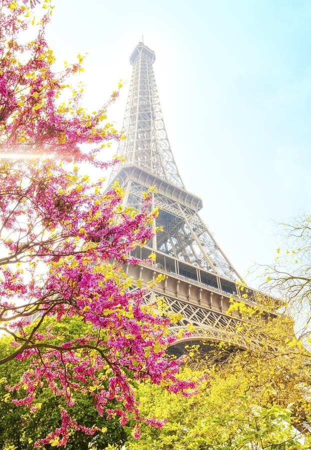 Eiffel Tower stock image. Image of center, high, france - 154264015