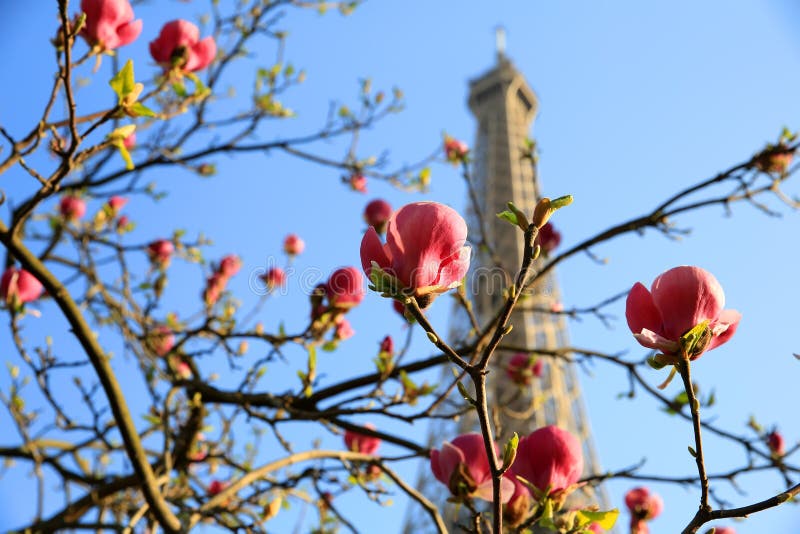 Eiffel Tower in Spring Time, Paris, France Stock Image - Image of ...