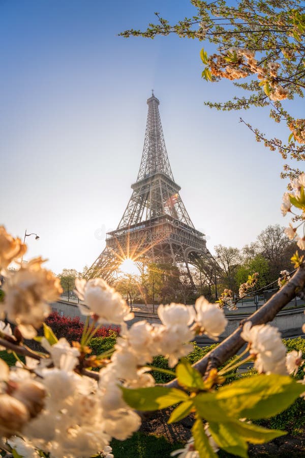 Eiffel Tower during Spring Time in Paris, France Stock Photo - Image of ...