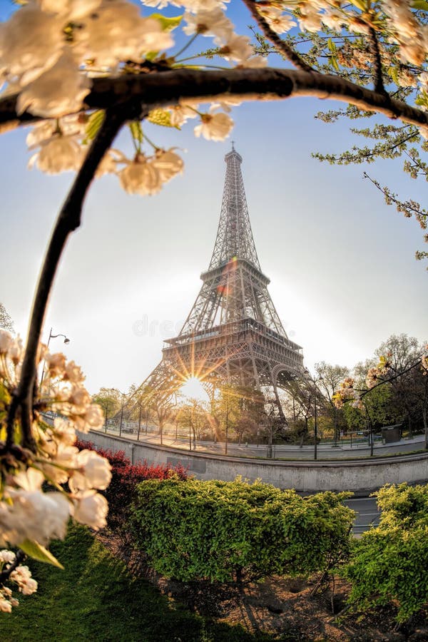 Eiffel Tower during Spring Time in Paris, France Stock Image - Image of ...