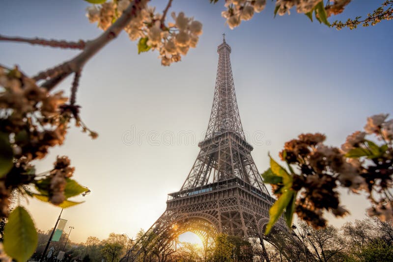Eiffel Tower during Spring Time in Paris, France Stock Image - Image of ...