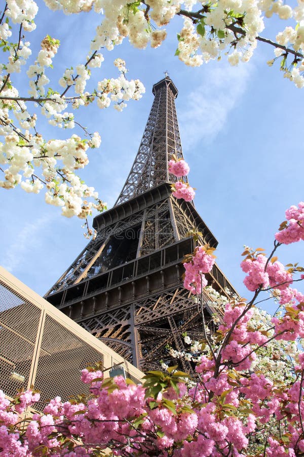Spring in Paris, Eiffel Tower Stock Image - Image of spring, tulip: 2547057