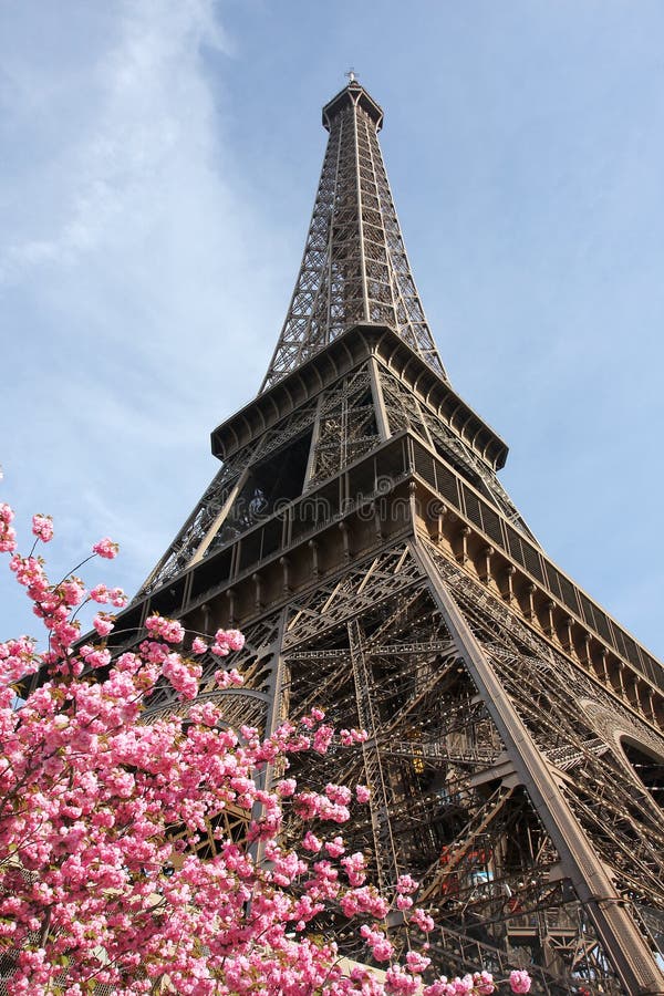 Eiffel Tower in Spring Time, Paris Stock Photo - Image of dawn ...