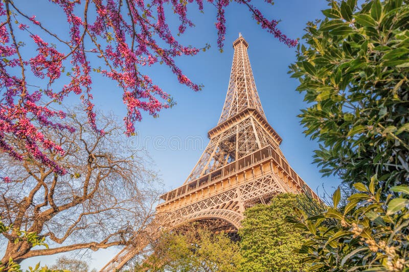 Eiffel Tower during Spring Time in Paris, France Stock Image - Image of ...