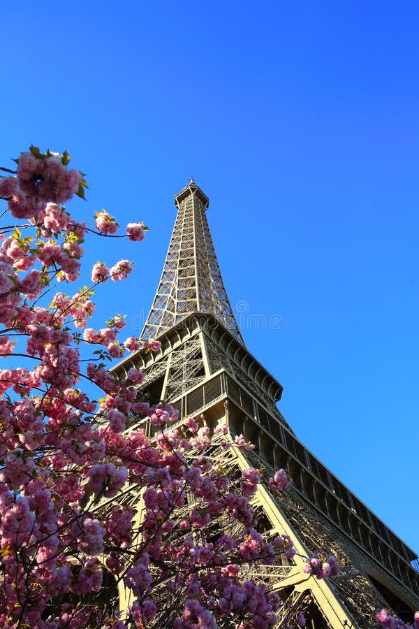 Eiffel Tower in Spring Time Stock Photo - Image of garden, city: 55277494