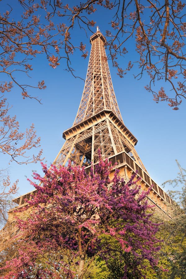 Eiffel Tower during Spring Time in Paris, France Stock Photo - Image of ...