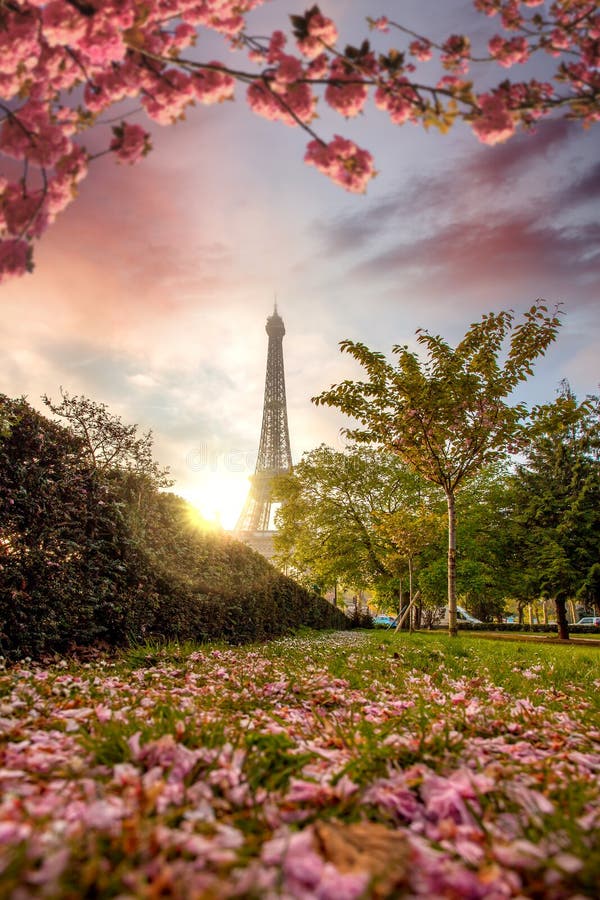 Eiffel Tower during Spring Time in Paris, France Stock Image - Image of ...