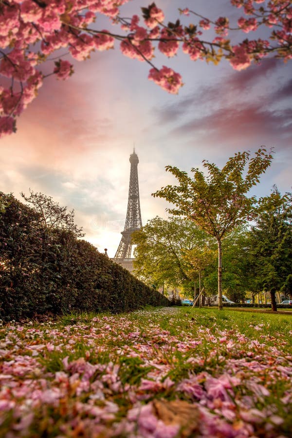 Eiffel Tower during Spring Time in Paris, France Stock Photo - Image of ...