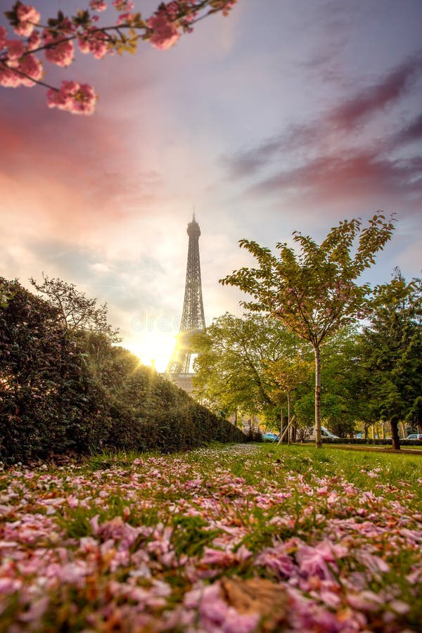 Eiffel Tower during Spring Time in Paris, France Stock Photo - Image of ...
