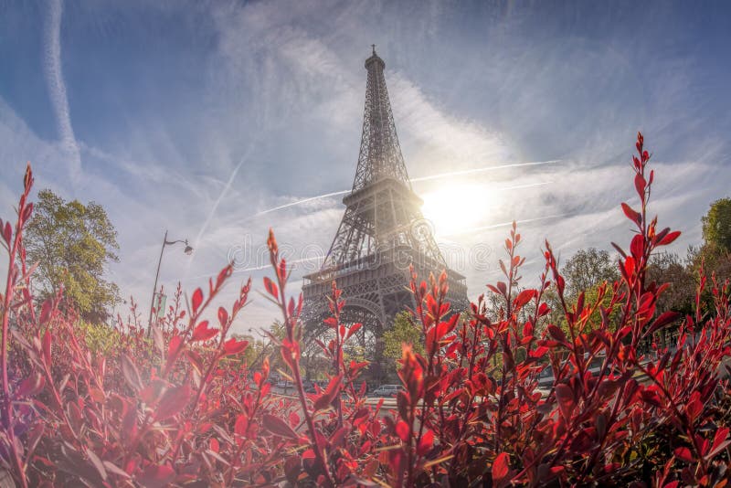 Eiffel Tower during Spring Time in Paris, France Stock Image - Image of ...