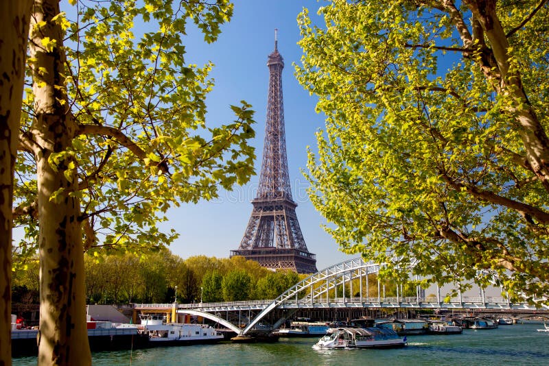 Eiffel Tower with Spring Tree in Paris, France Stock Photo - Image of ...