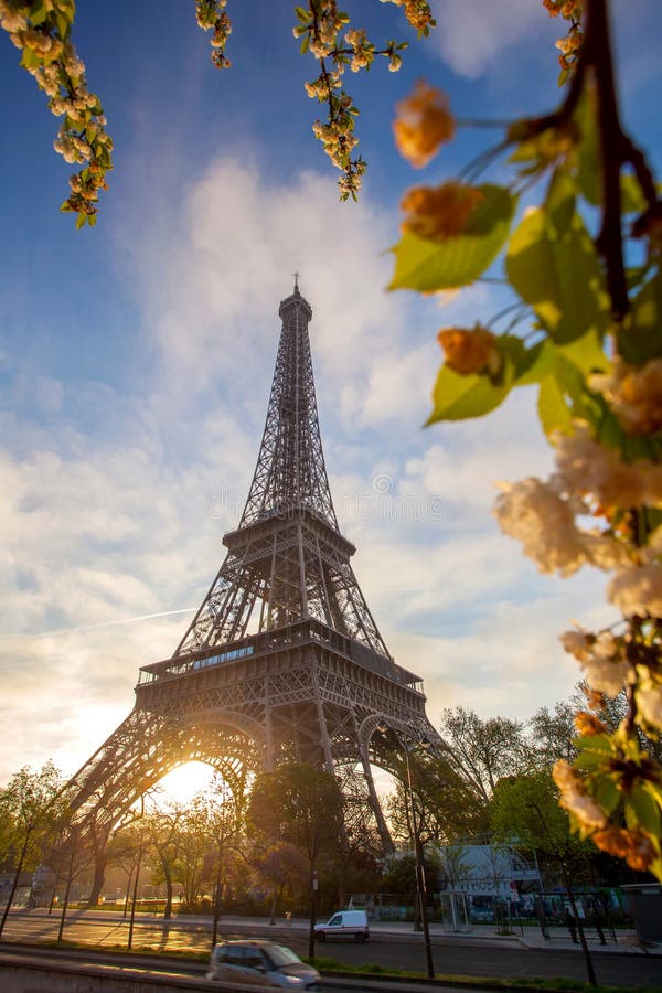 Eiffel Tower with Spring Tree in Paris, France Stock Image - Image of ...