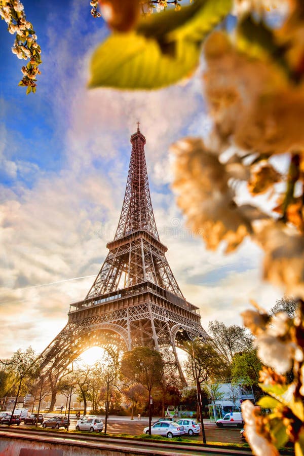 Eiffel Tower with Spring Tree in Paris, France Stock Photo - Image of ...