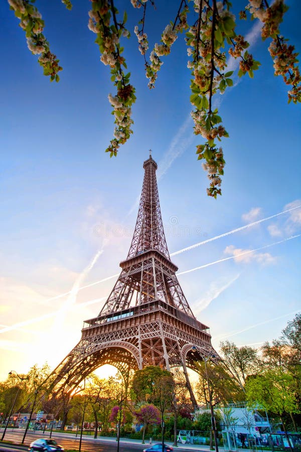 Eiffel Tower with Spring Tree in Paris, France Stock Photo - Image of ...