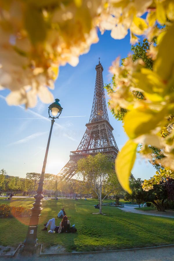 Eiffel Tower with Spring Tree in Paris, France Stock Image - Image of ...