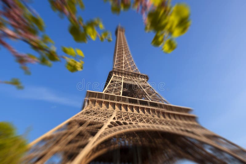 Eiffel Tower with Spring Tree in Paris, France Stock Image - Image of ...