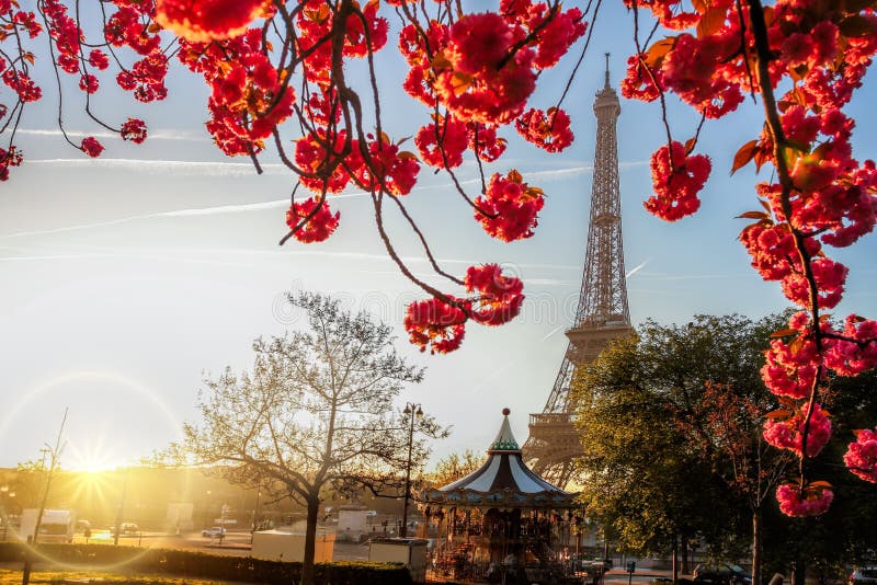 Eiffel Tower with Spring Tree in Paris, France Stock Image - Image of ...
