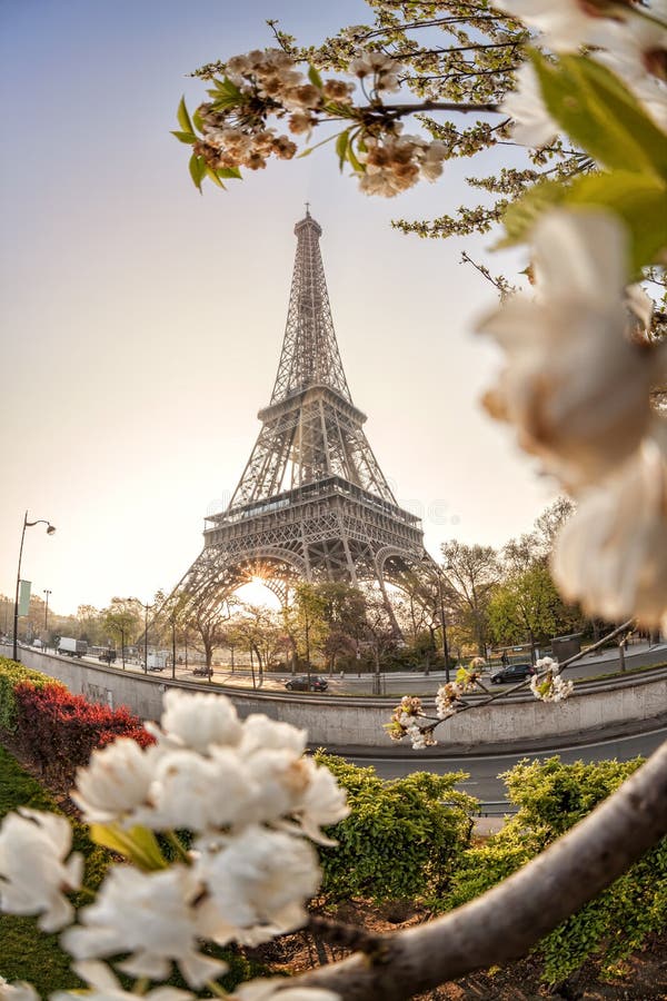 Eiffel Tower with Spring Trees Against Sunrise in Paris, France Stock ...