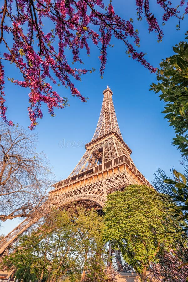 Eiffel Tower during Spring Time in Paris, France Stock Photo - Image of ...