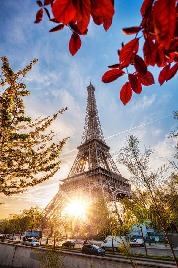 Eiffel Tower with Spring Trees in Paris, France Stock Image - Image of ...