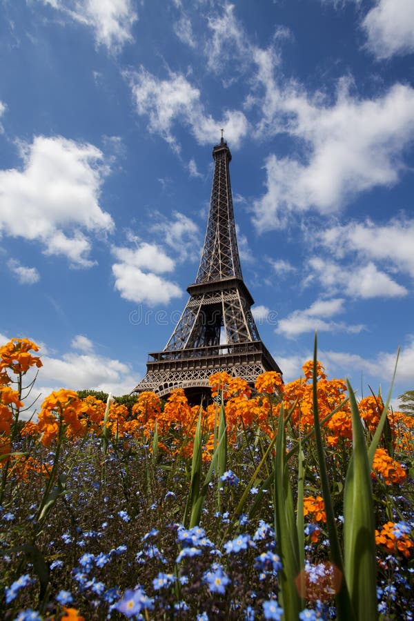 Eiffel Tower Surrounded Flowers Stock Photos - Free & Royalty-Free ...
