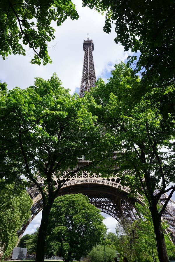 The Eiffel Tower with Trees Stock Image - Image of tower, hidden: 55338845