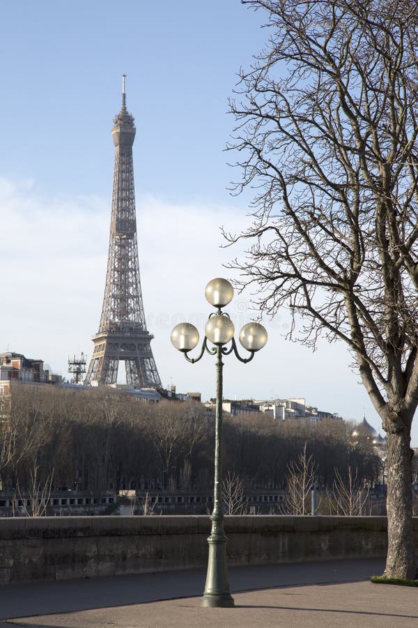 Eiffel Tower with Winter Tree; Paris Stock Photo - Image of tree ...