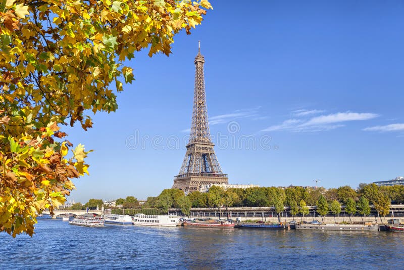Eiffel Tower with a Yellow Tree on the Front, Paris Stock Photo - Image ...